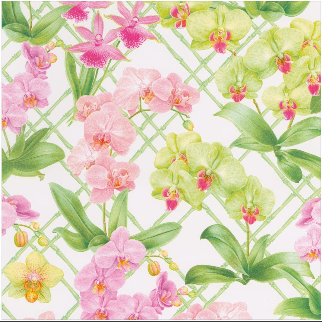 Gift Wrap | Wrapping Paper and More | High Quality Designs – Caspari