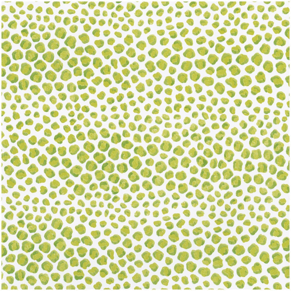 Just Spots Lime Gift Wrap - One 30" X 8' Roll – Caspari