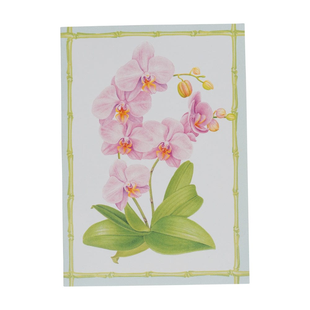 Orchid Conservatory Boxed Note Cards - 8 Note Cards & 8 Envelopes – Caspari