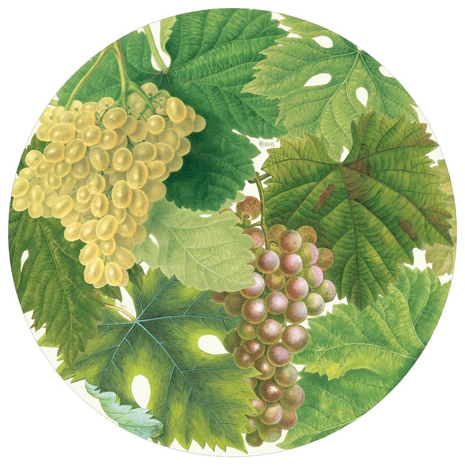 Shop Elegant Paper Placemats | Stylish Designs and Patterns – Caspari