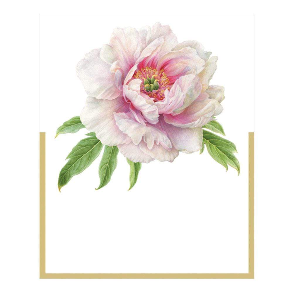 86910P, Blush Place Cards Die Cut Package 8 In, Wedding, Pink, Everyday ...